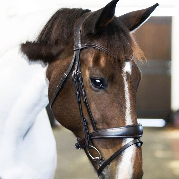 ENGLISH BRIDLES AND REINS - Saddleworld Ipswich